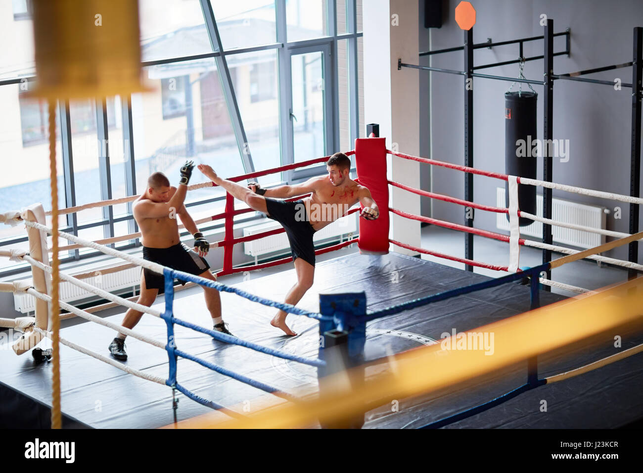 Wide shot of two men fighting in boxing ring: boxer laying high kick ...