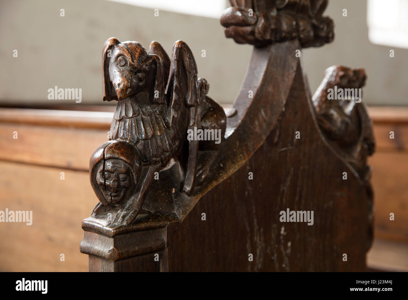 Pew Bench End Medieval Carvings, Thurgaton Church, Norfolk Stock Photo ...
