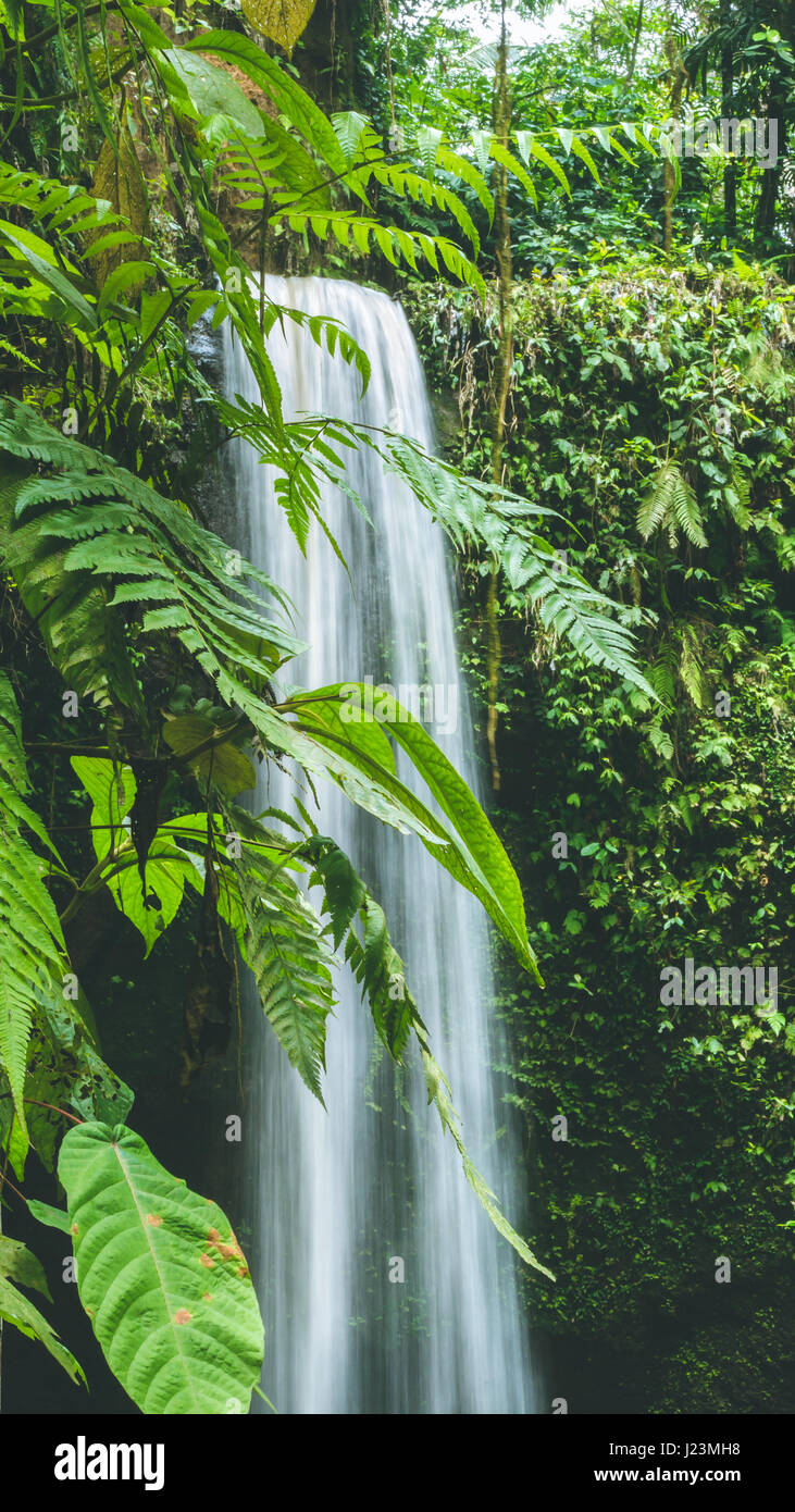 Hidden waterfall bali hi-res stock photography and images - Alamy