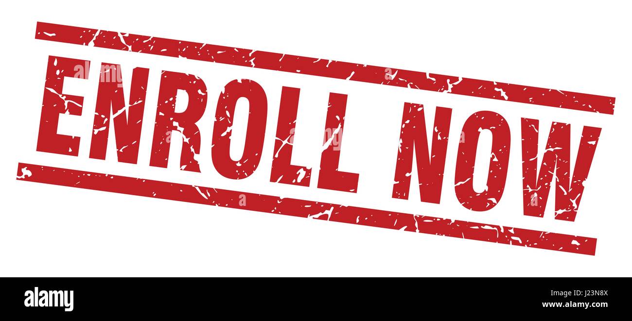 square grunge red enroll now stamp Stock Vector Image & Art - Alamy