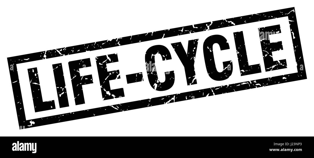 square grunge black life-cycle stamp Stock Vector Image & Art - Alamy