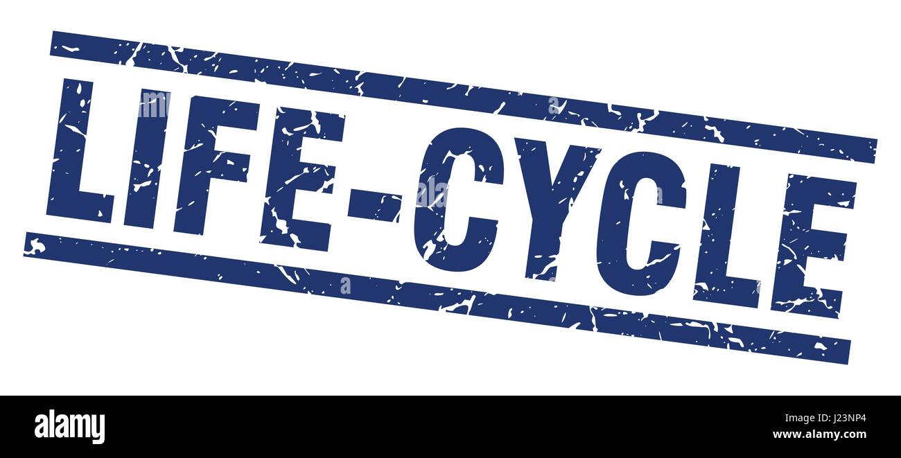 square grunge blue life-cycle stamp Stock Vector Image & Art - Alamy