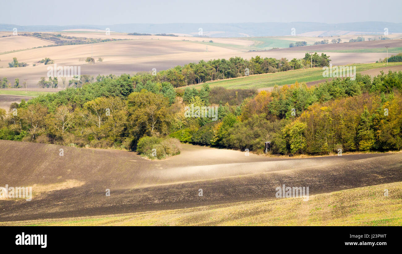 Moravian Fields in Czechia Stock Photo - Alamy