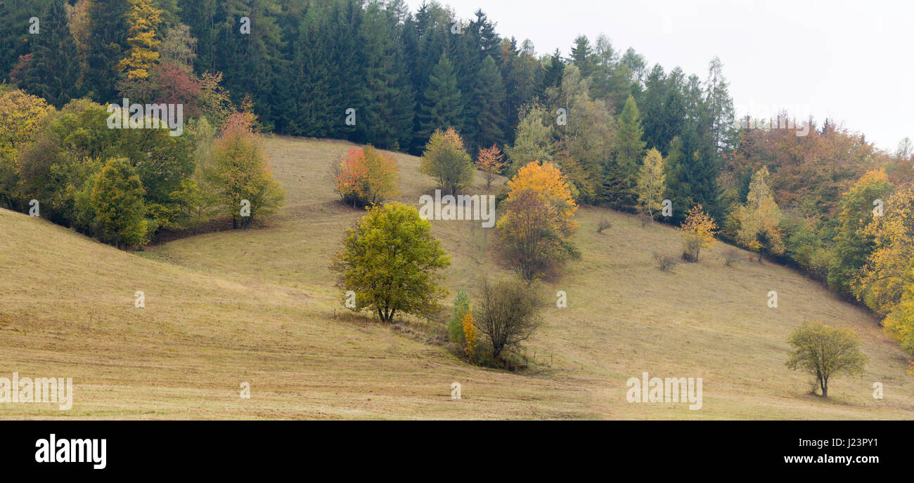 Hillside slope hi-res stock photography and images - Alamy