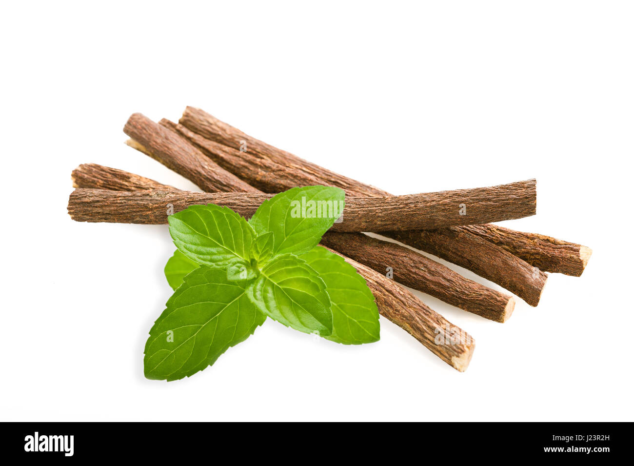 Leaves of licorice plant hi-res stock photography and images - Alamy