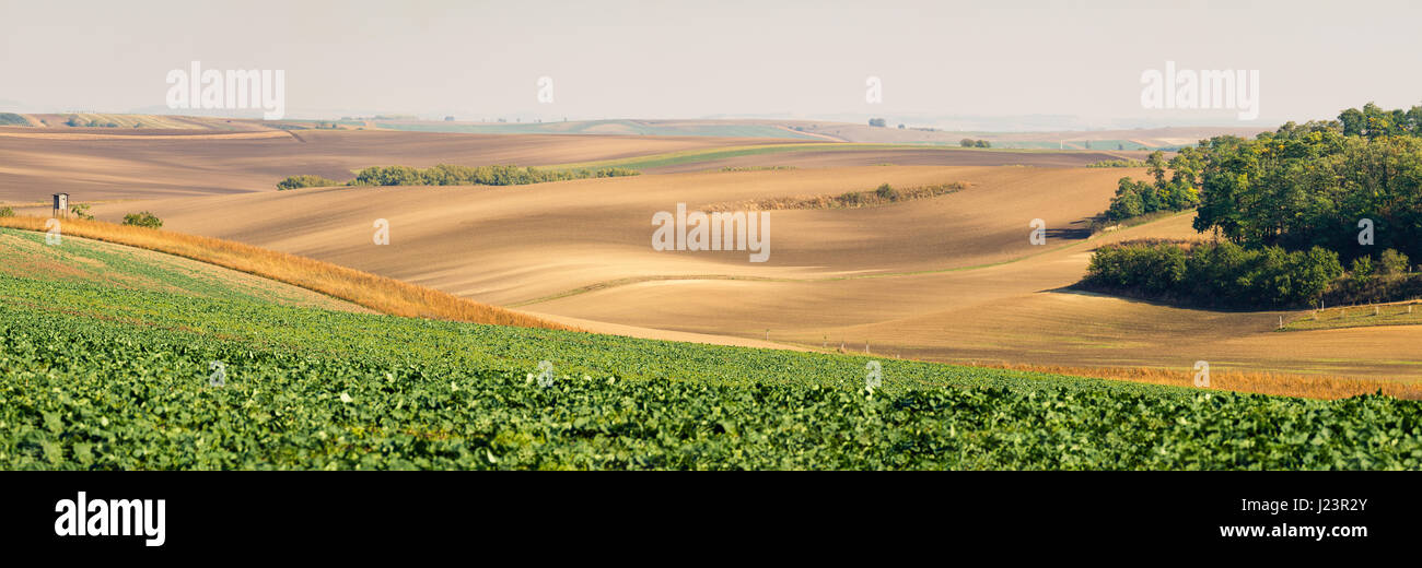 Panoramic view of cultivated field in South Moravia, Czechia. Beautiful ...
