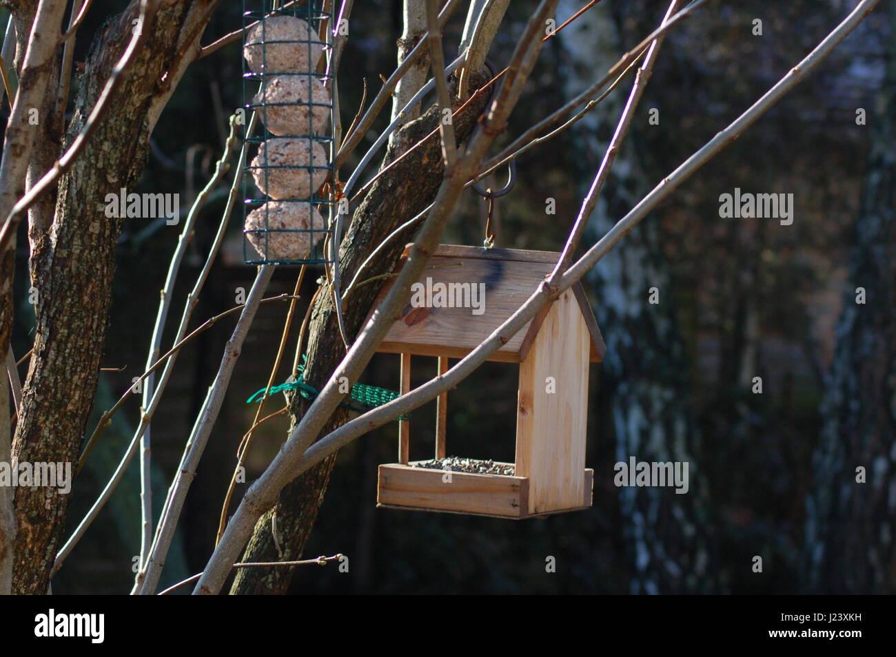Bird table closeup from winter Stock Photo - Alamy