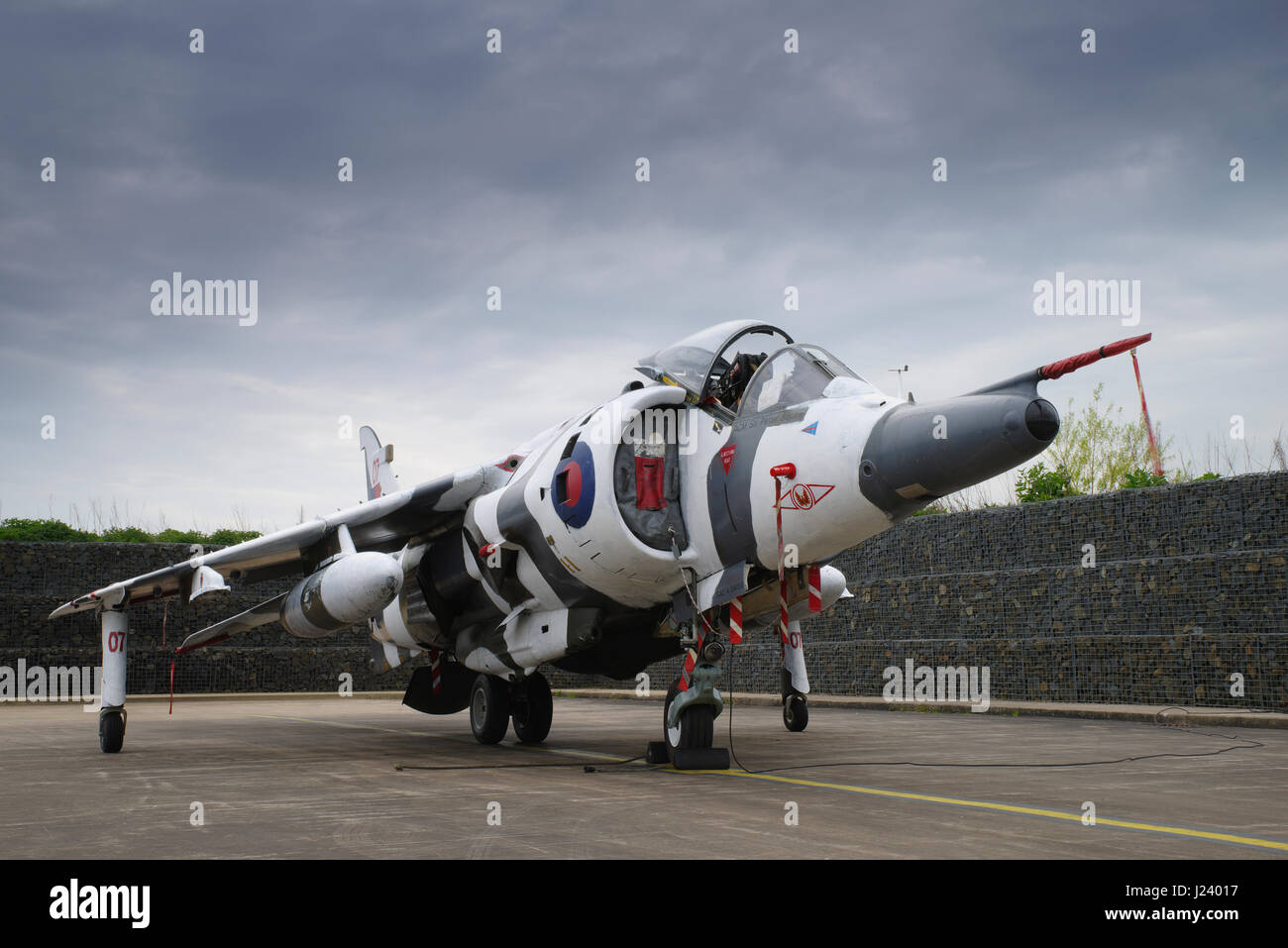 Harrier camouflage hi-res stock photography and images - Alamy