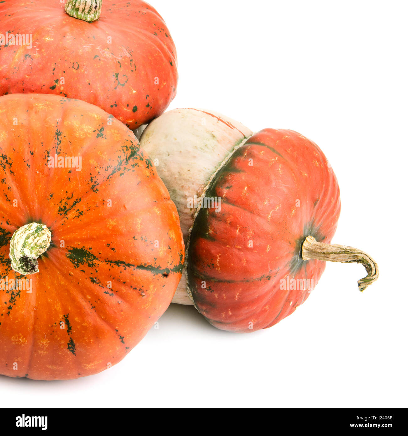 ripe pumpkin isolated on white background Stock Photo - Alamy