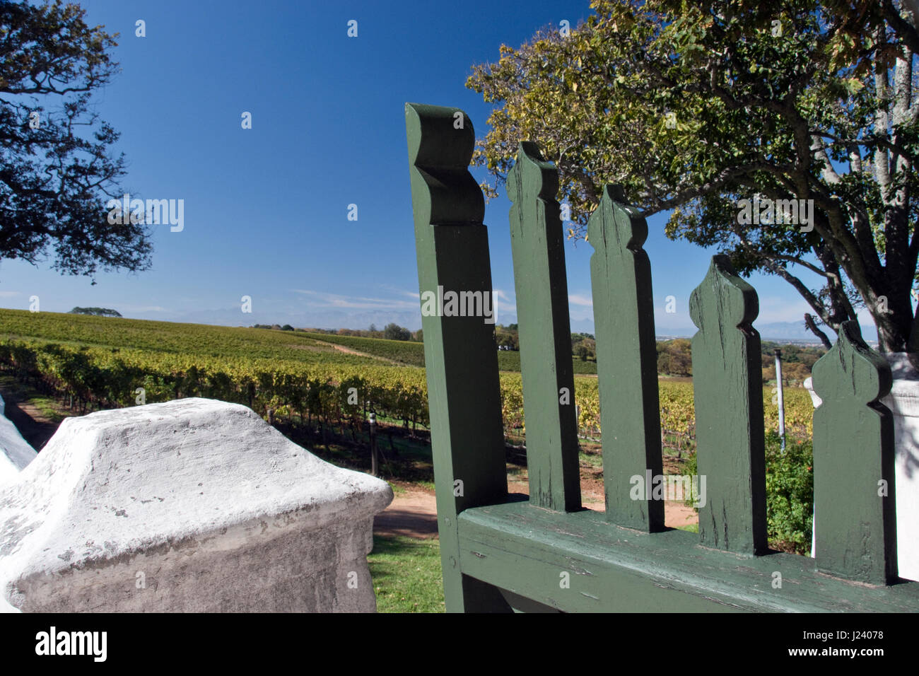 View of the vineyards at Groot Constantia, the oldest wine estate in ...