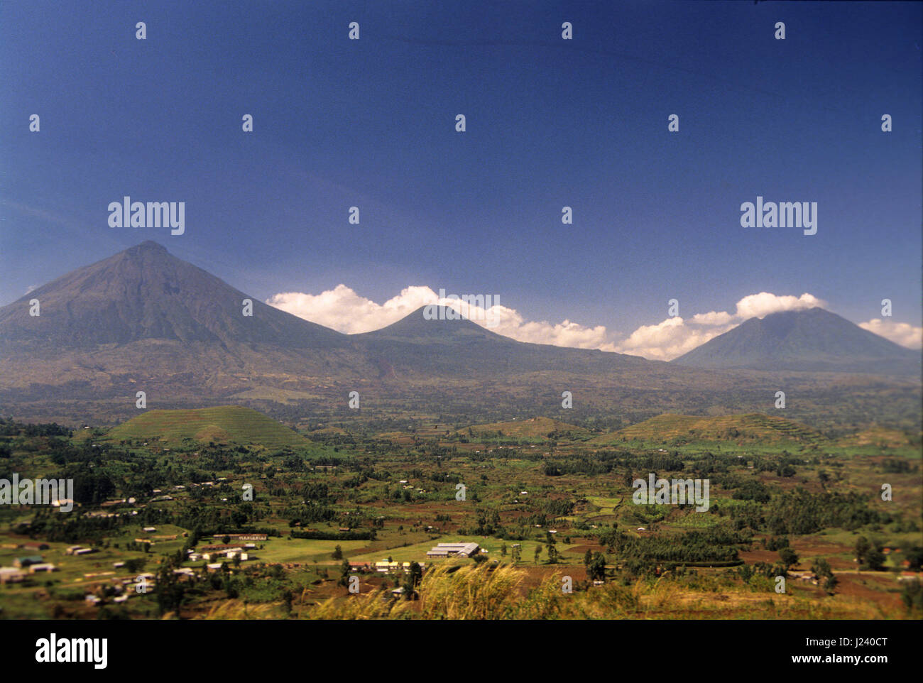 Virungas volcanoes viewed from Kisoro, Uganda. From left to right, Mt ...