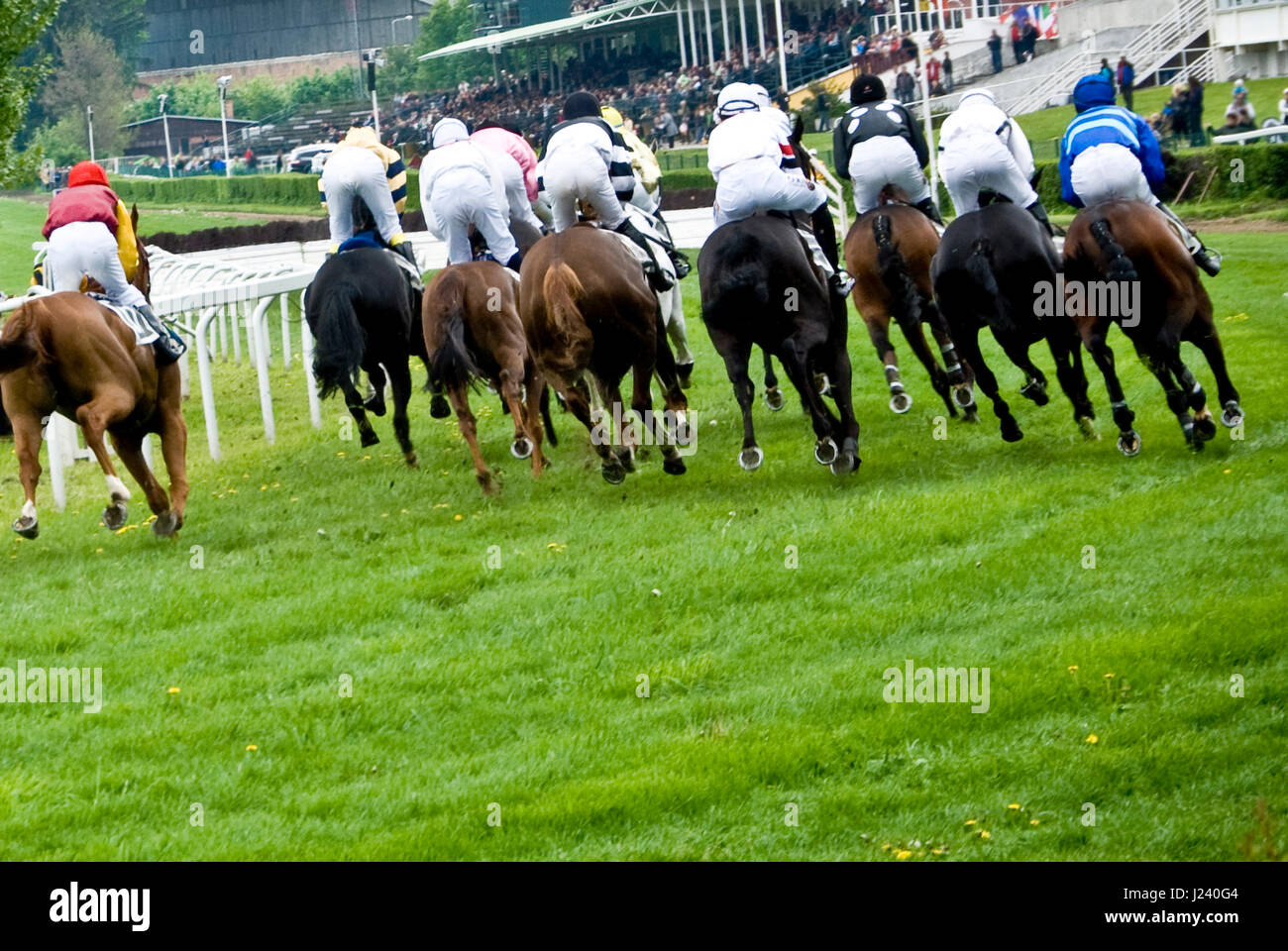 Steeplechase horse race hi-res stock photography and images - Alamy