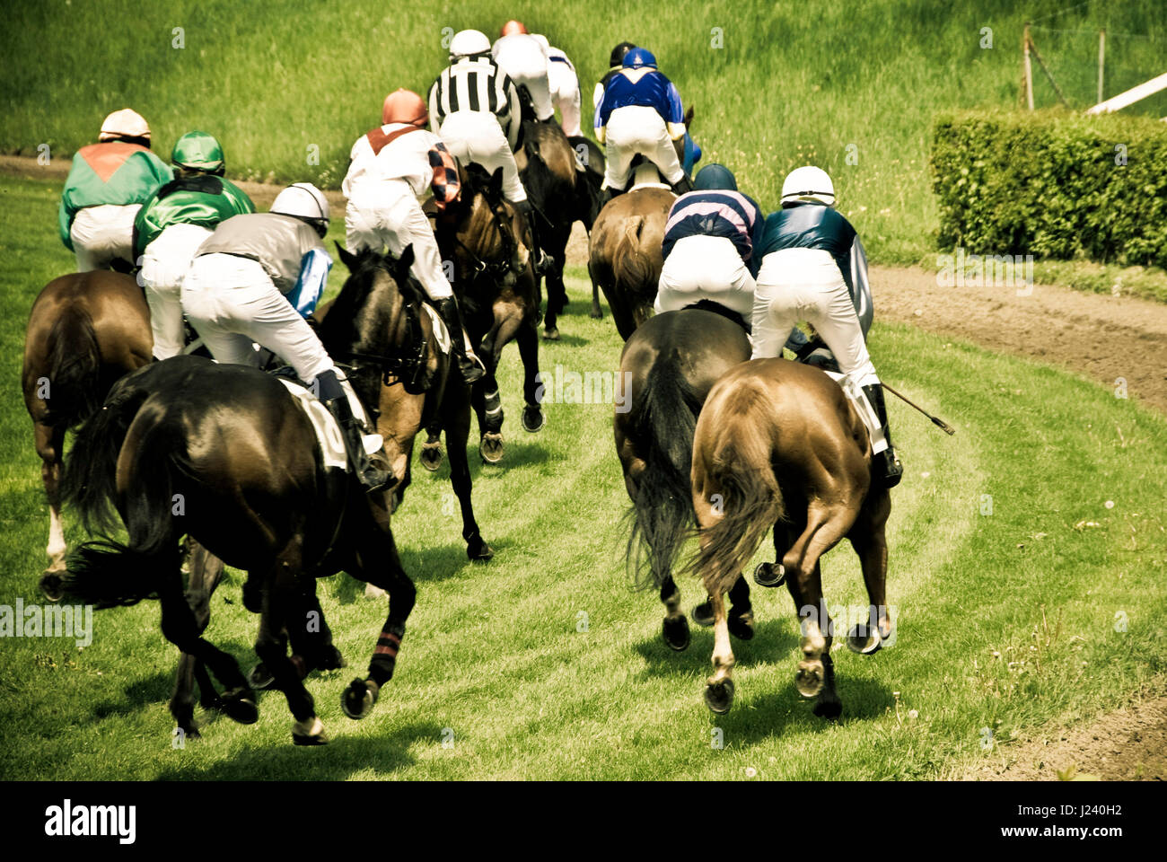 Steeplechase horse race hi-res stock photography and images - Alamy