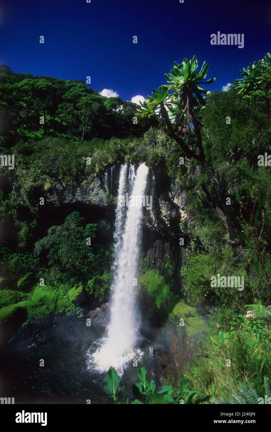 Chania Falls in the Aberdare National Park, Kenya Stock Photo - Alamy