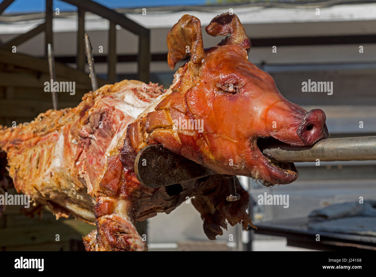 Suckling pig hi-res stock photography and images - Alamy