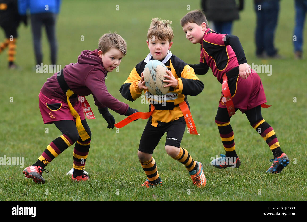 Tag rugby childrens tag rugby hi-res stock photography and images - Alamy