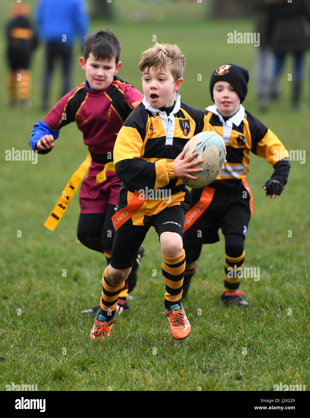 Rugby parents watching hi-res stock photography and images - Alamy