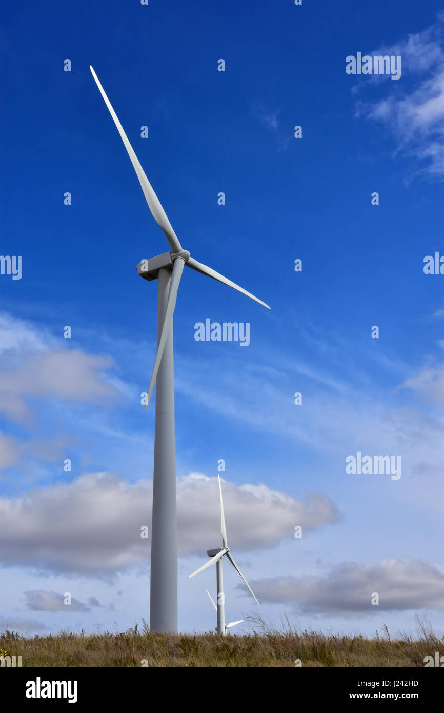 Wind turbines producing clean renewable energy in North Dakota Stock ...
