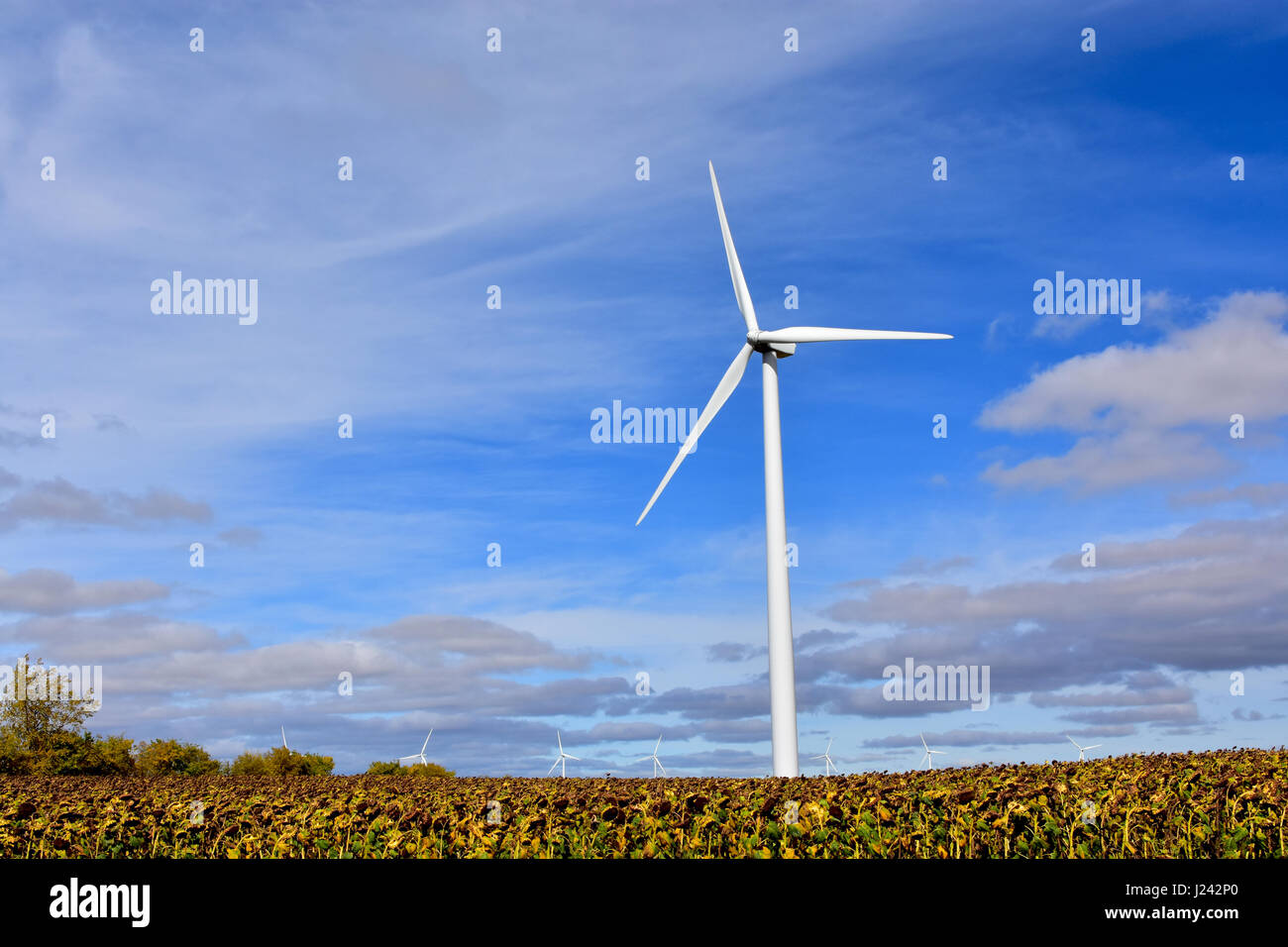 Wind turbines producing clean renewable energy in North Dakota Stock ...