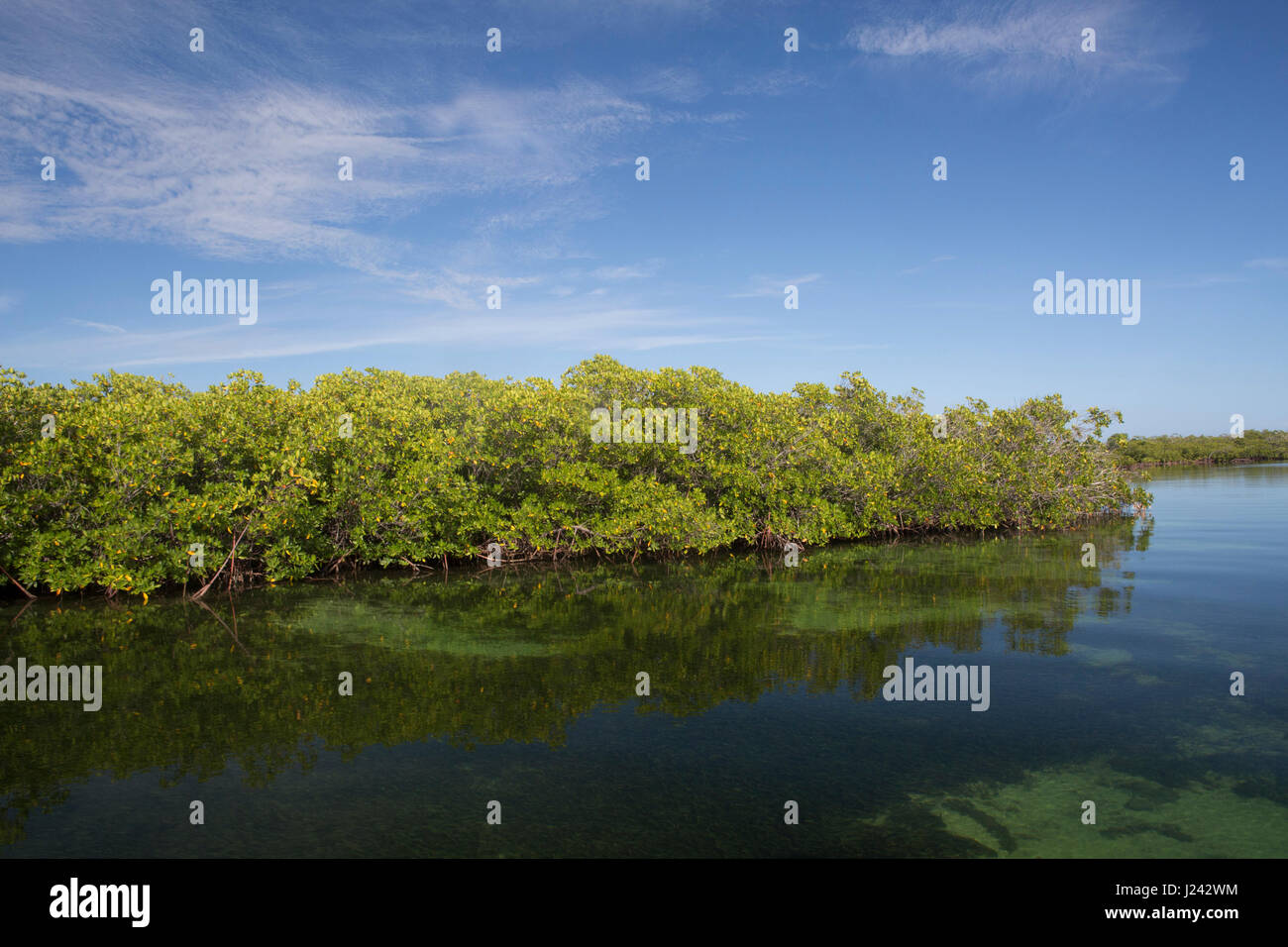 Aerial gardens of the queen cuba hi-res stock photography and images ...