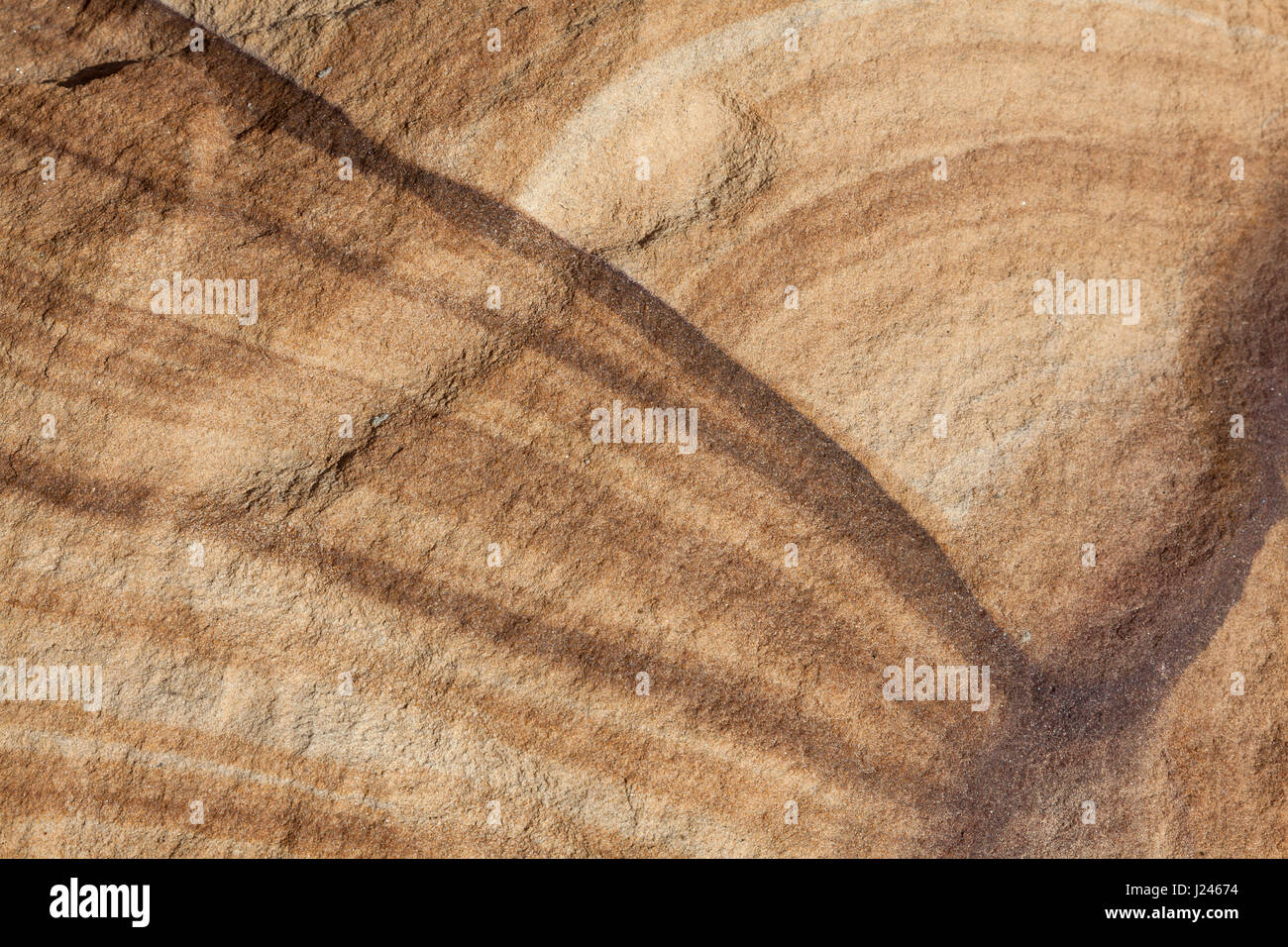 Abstract pattern on a limestone rock, Barangaroo, Sydney, Australia ...
