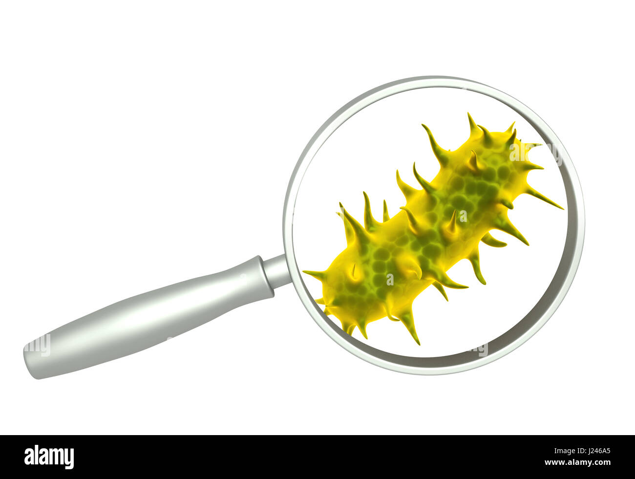 Magnifying glass and colony of pathogen bacteria. Isolated on white ...