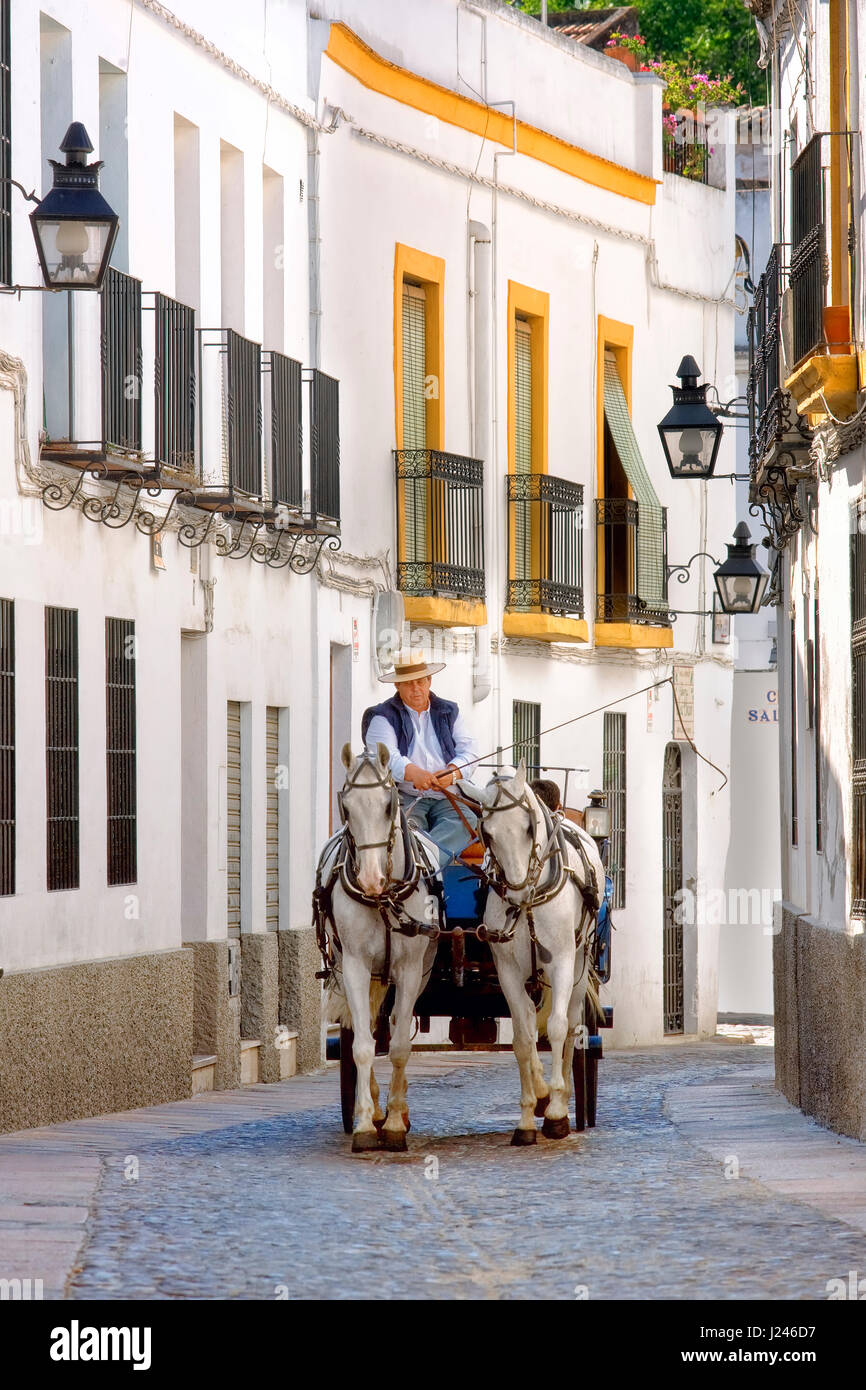 Street in Cordoba Stock Photo - Alamy