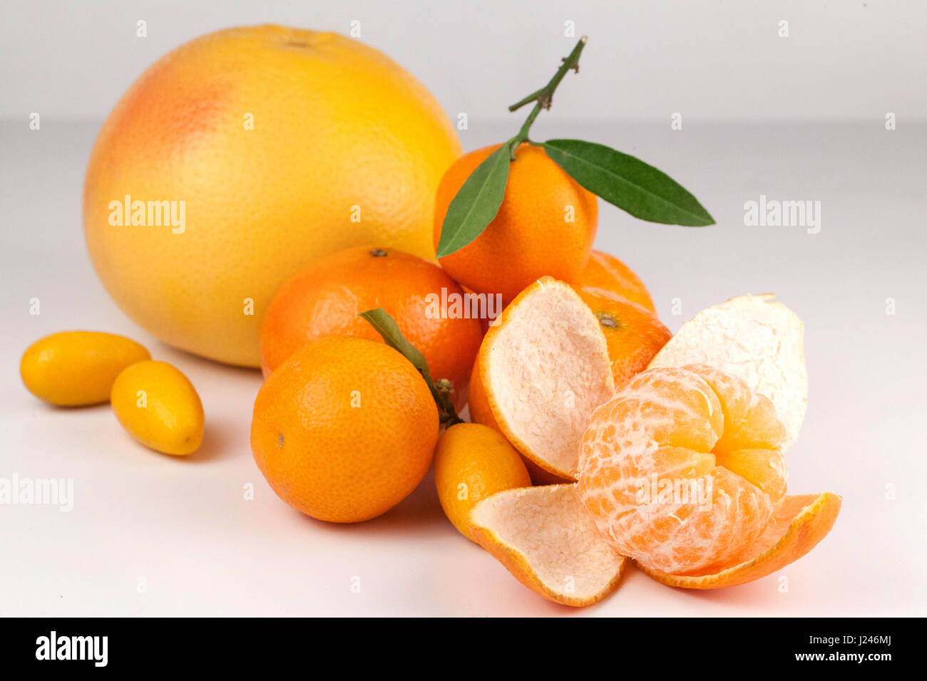 Juicy ripe grapefruit with tangerines on a white background Stock Photo ...