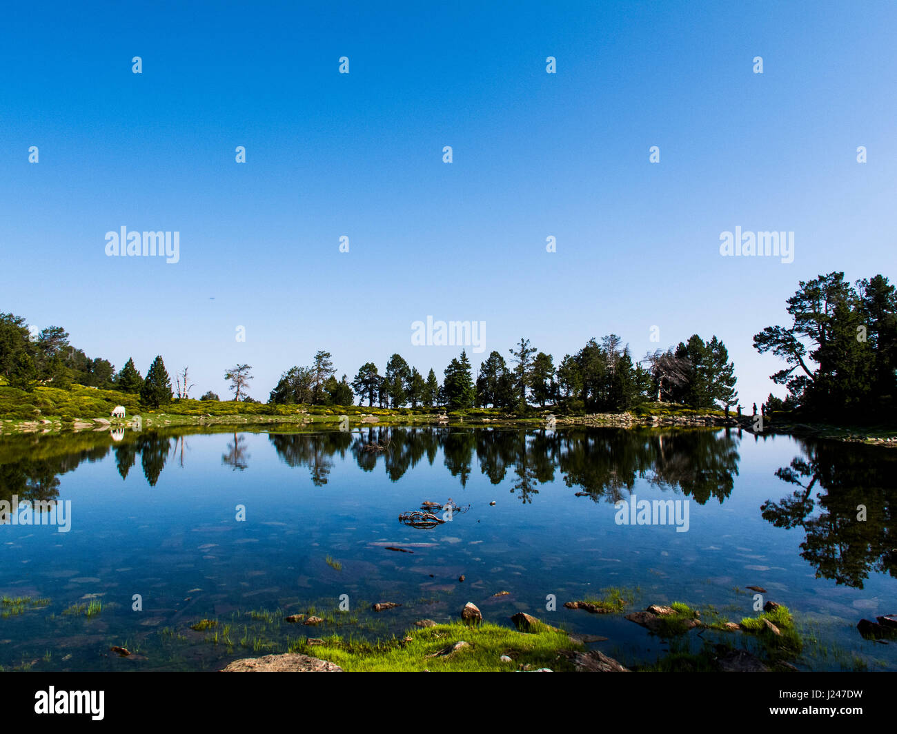 Pyrenean mountain landscape Stock Photo - Alamy