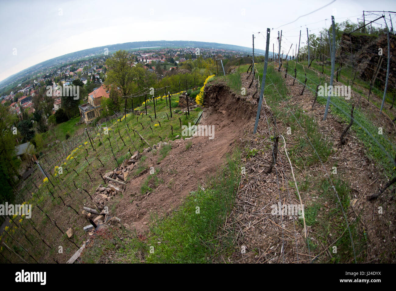 Radebeul, Germany. 21st Apr, 2017. Decreipt dry walls at the vineyard ...