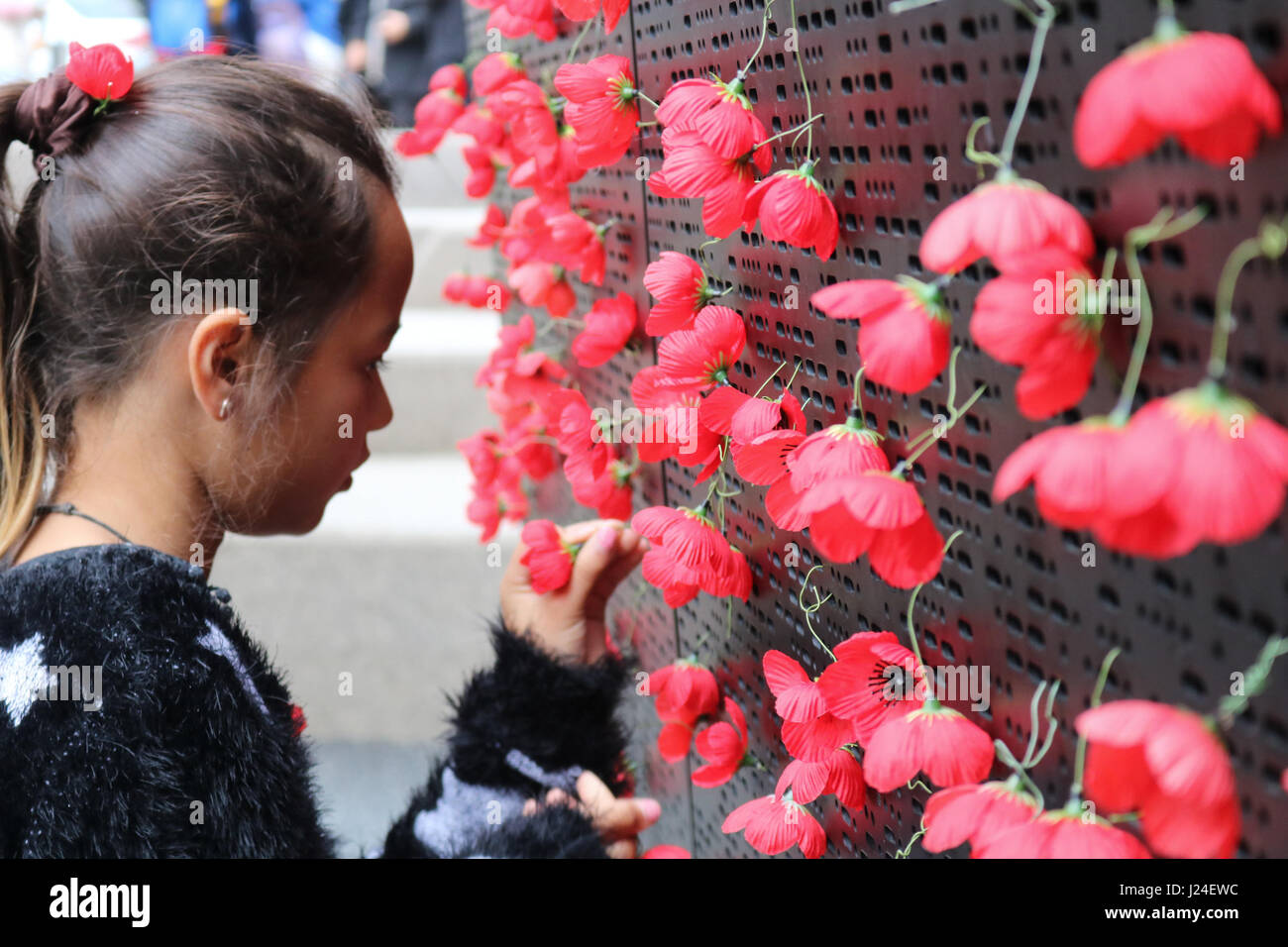 Rememebrance poppy hi-res stock photography and images - Alamy