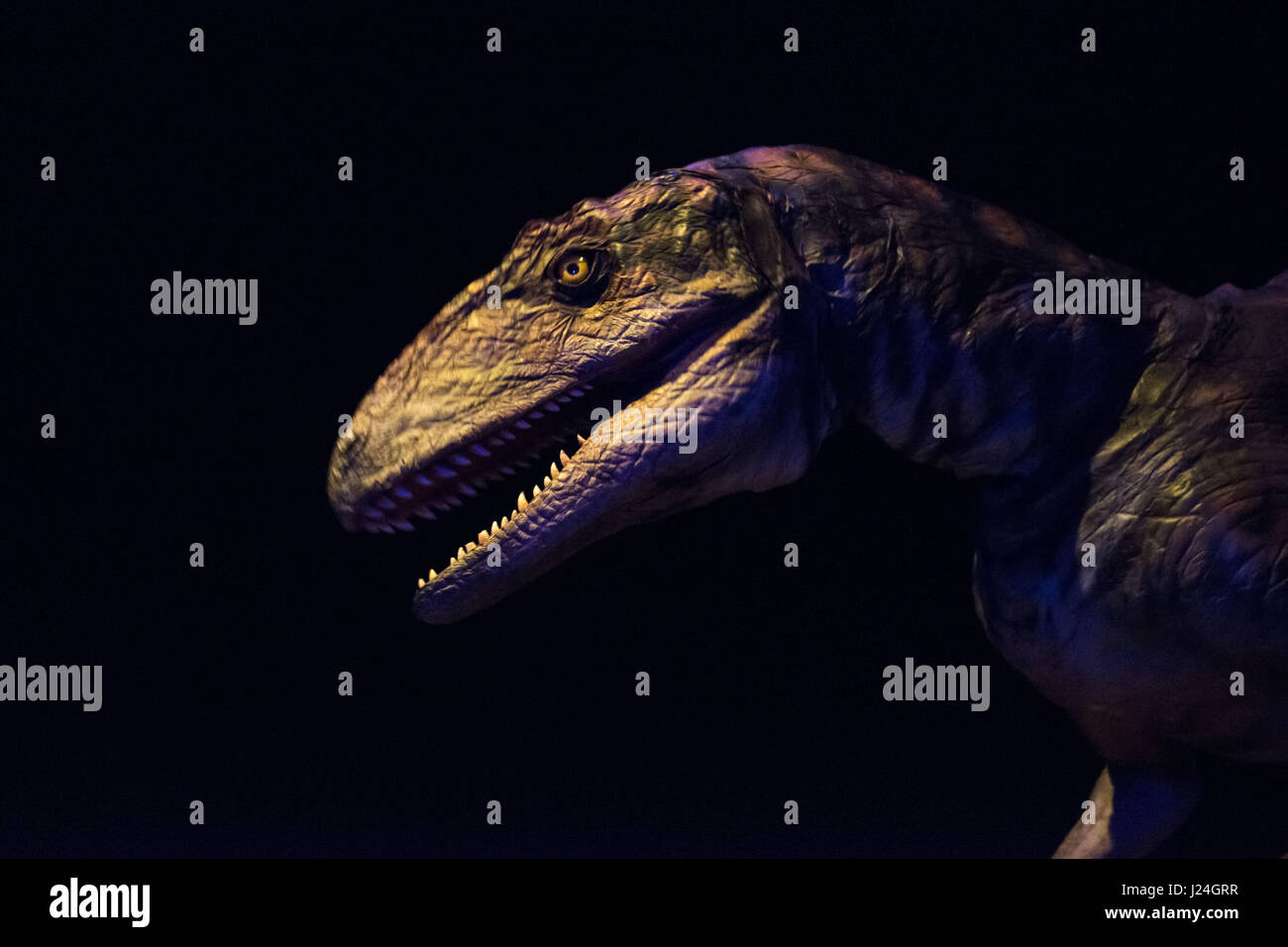 Tokyo, Tokyo, Japan. 25th Apr, 2017. The Dino-Safari exhibition ...