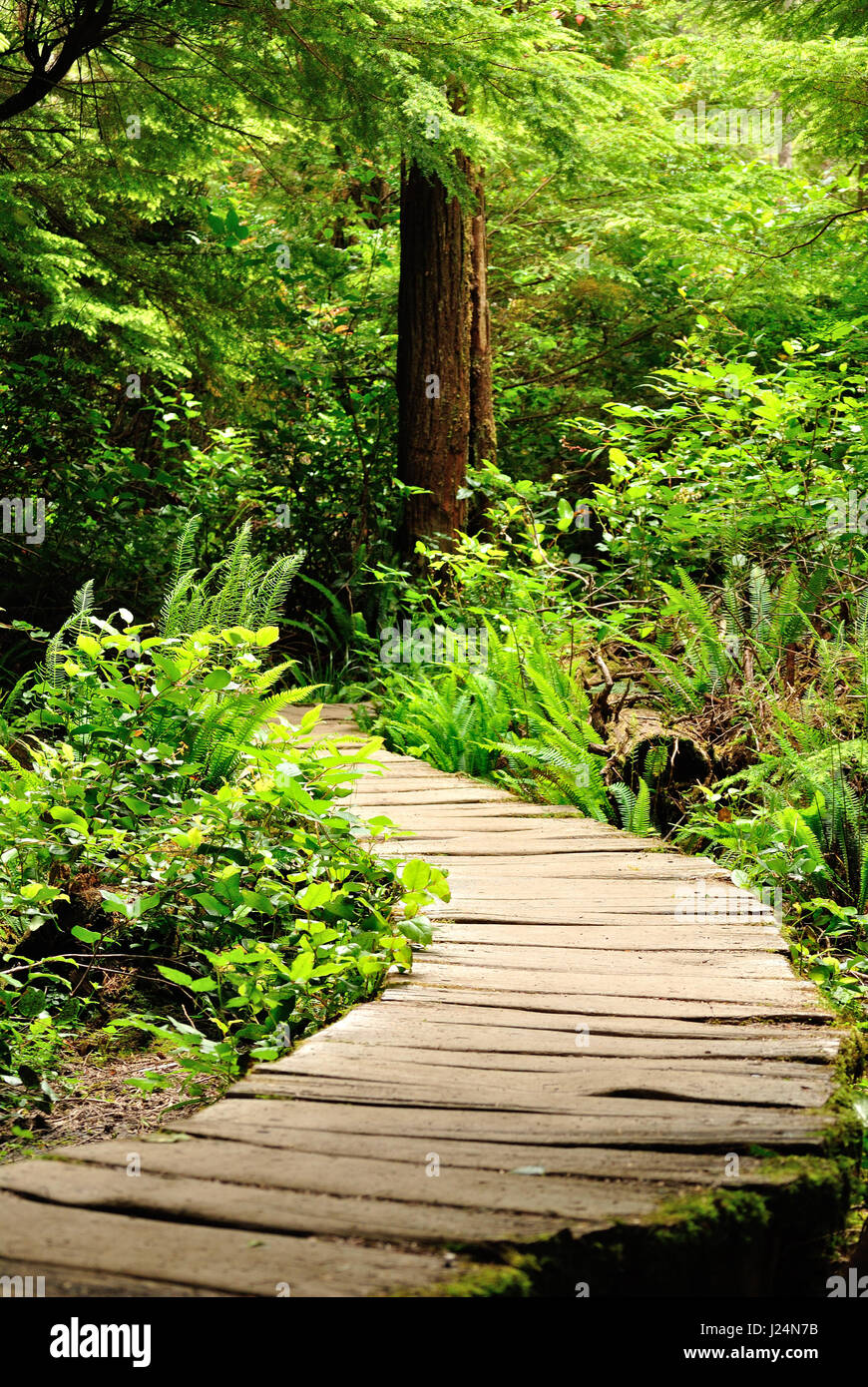 Pathway winding hi-res stock photography and images - Alamy