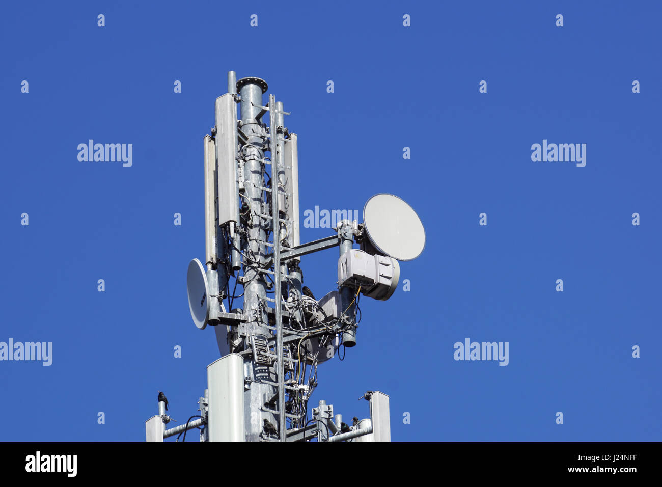 Telecommunications tower antenna cells for mobile communications Stock ...