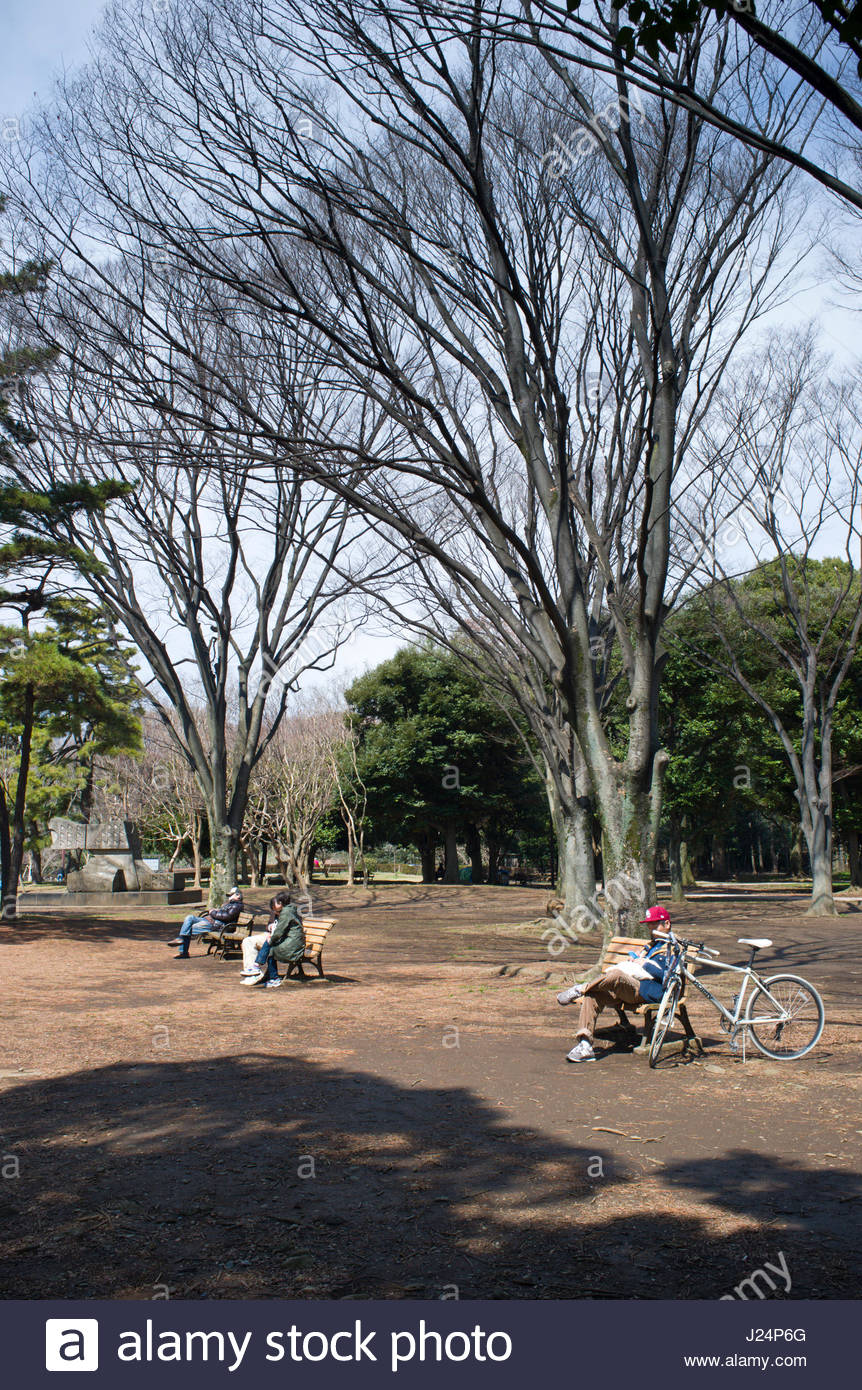 People Sitting On Park Benches High Resolution Stock Photography and ...