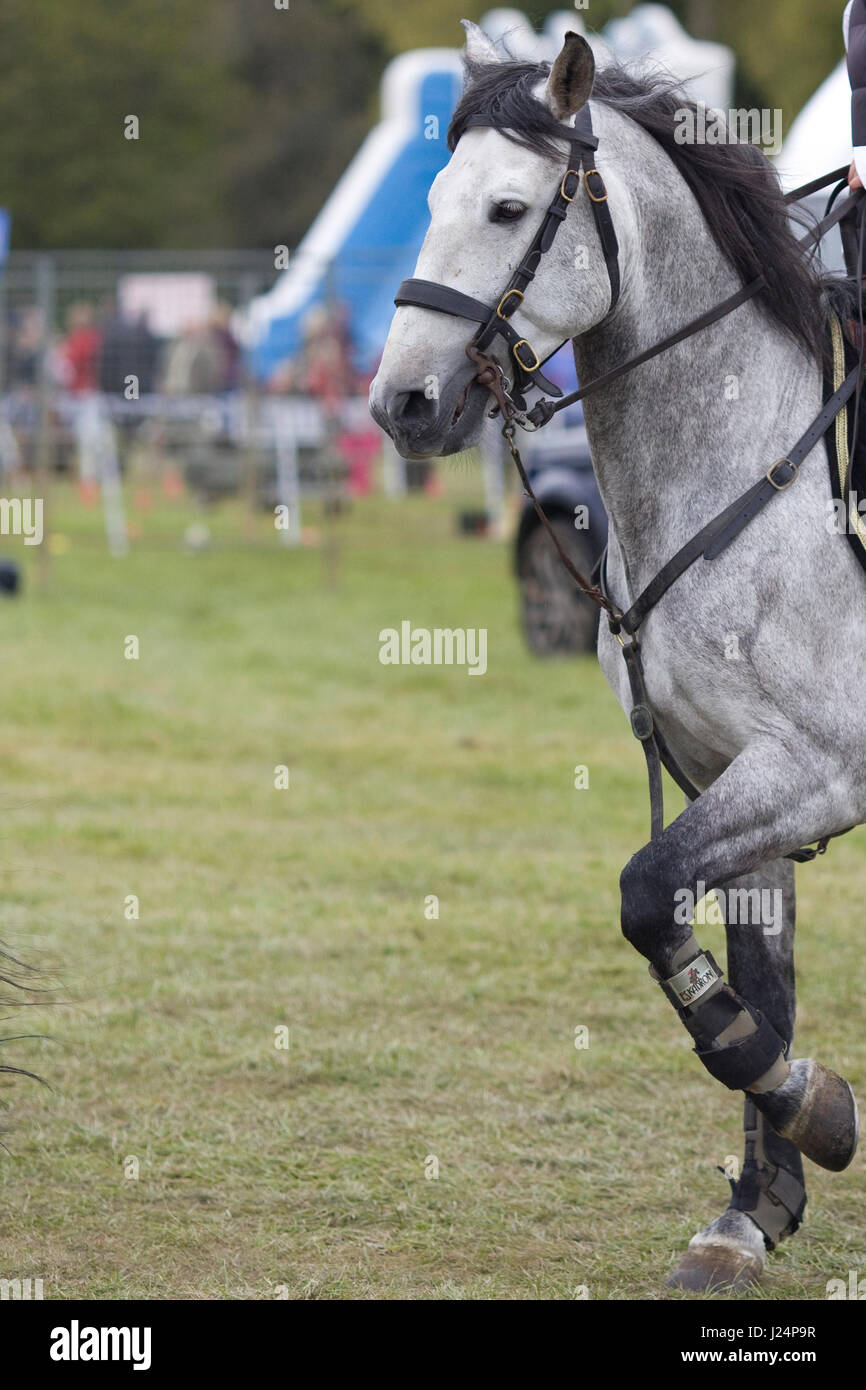 The Devils horsemen stunt team display Stock Photo - Alamy