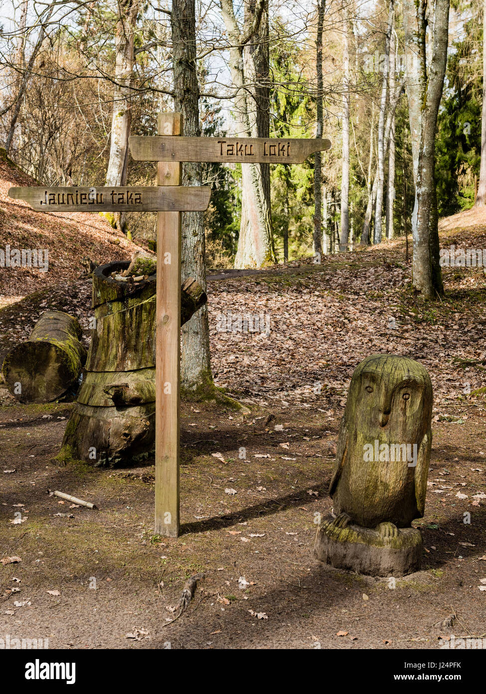 trees against blue sky with branches wide spread. spring motives Stock ...