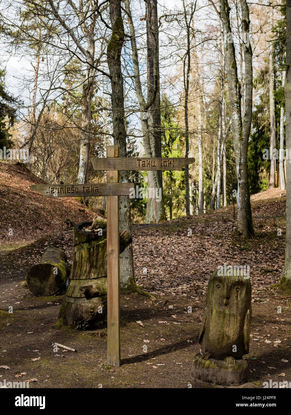 trees against blue sky with branches wide spread. spring motives Stock ...