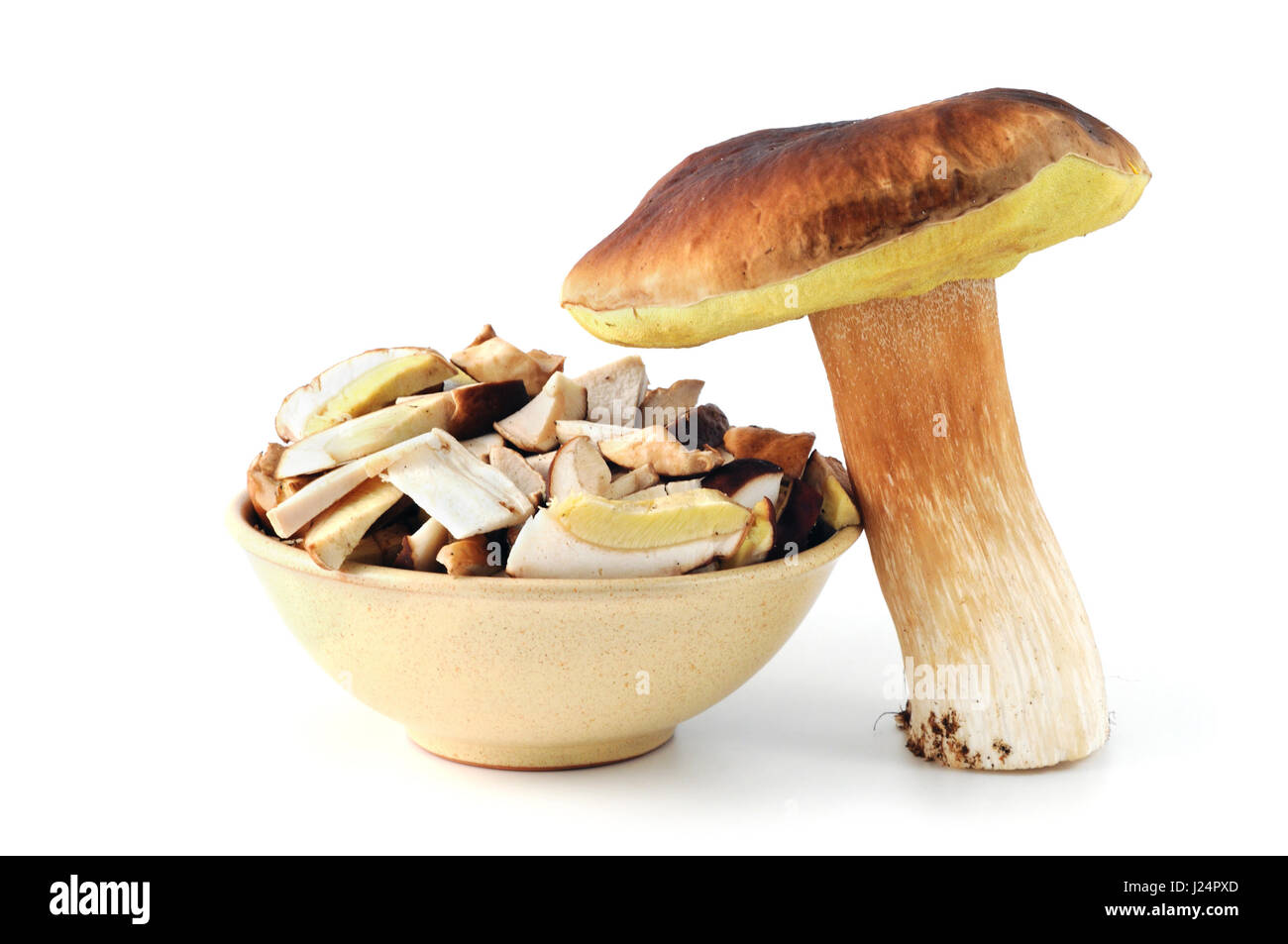 fresh penny bun mushrooms on white isolated background Stock Photo - Alamy