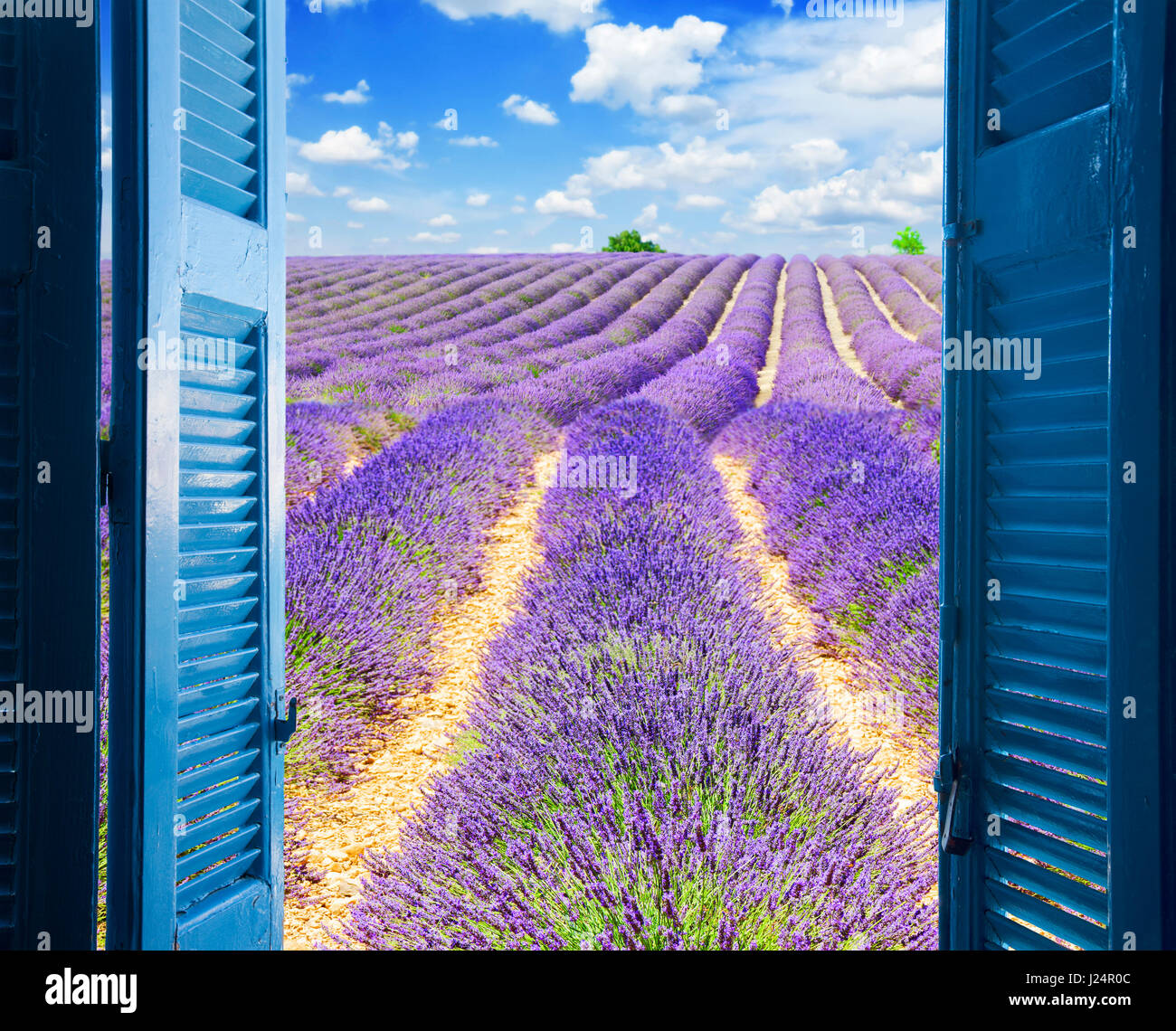 Window to lavender field Stock Photo - Alamy