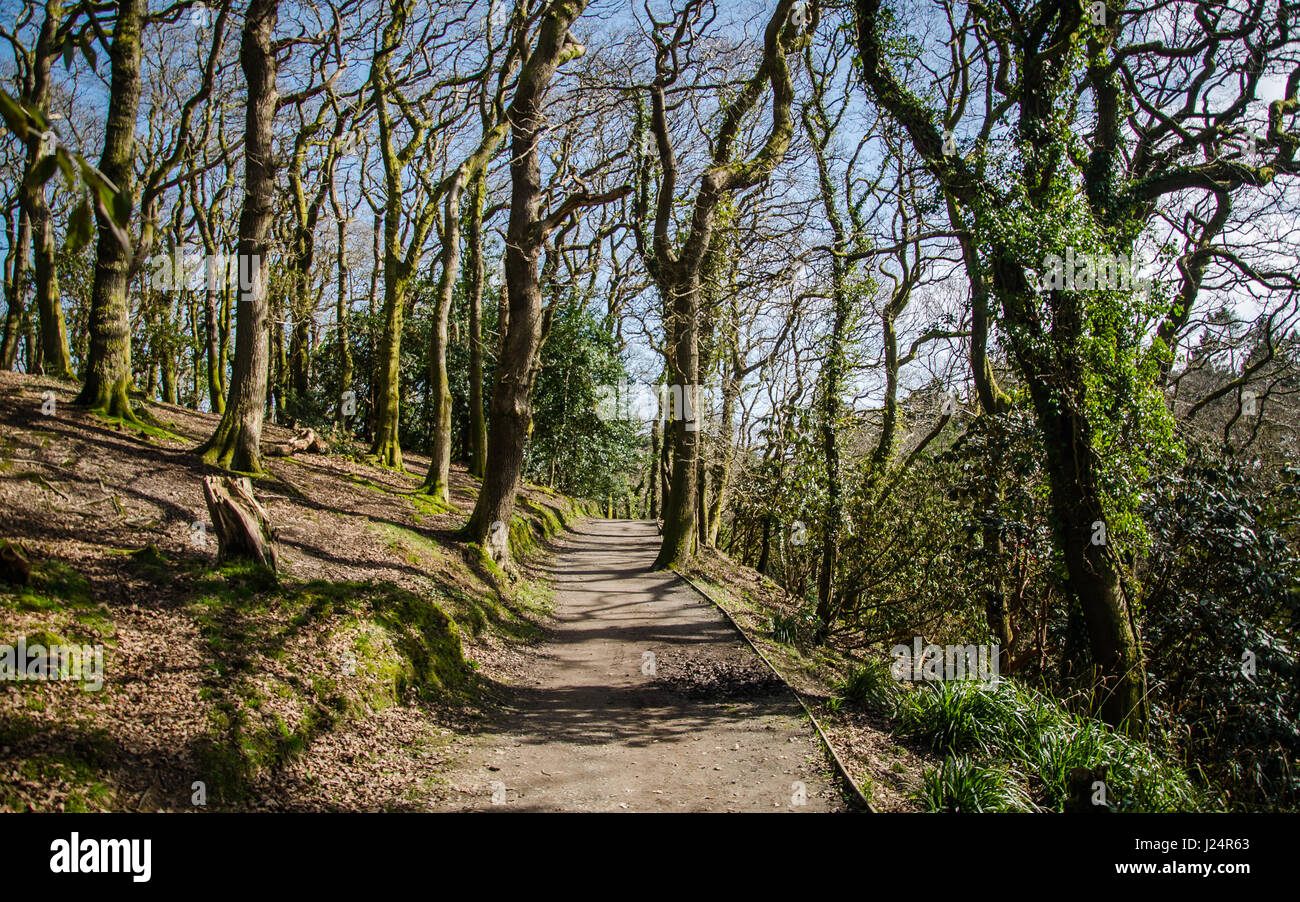 The Gower Landscapes Stock Photo - Alamy