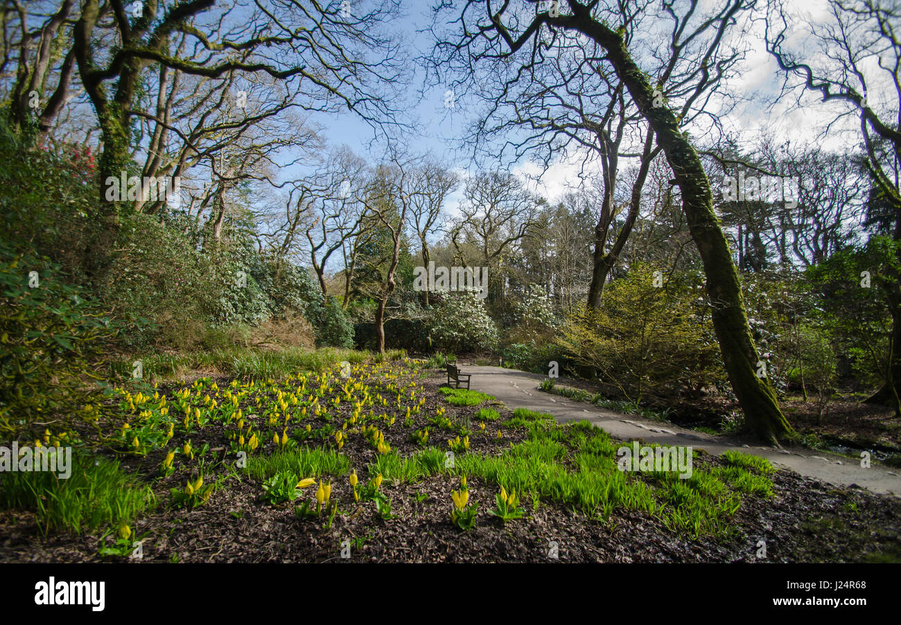 The Gower Landscapes Stock Photo - Alamy