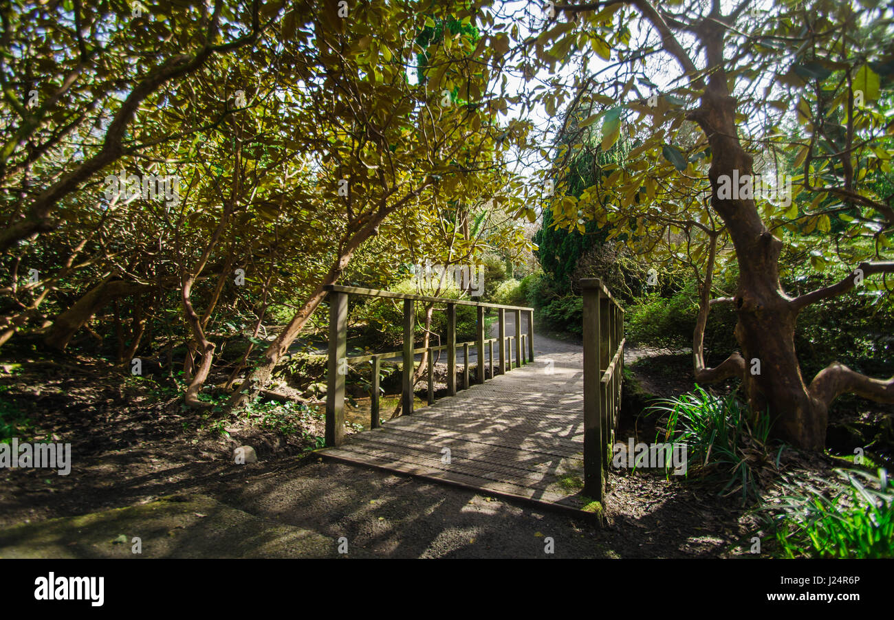 The Gower Landscapes Stock Photo - Alamy