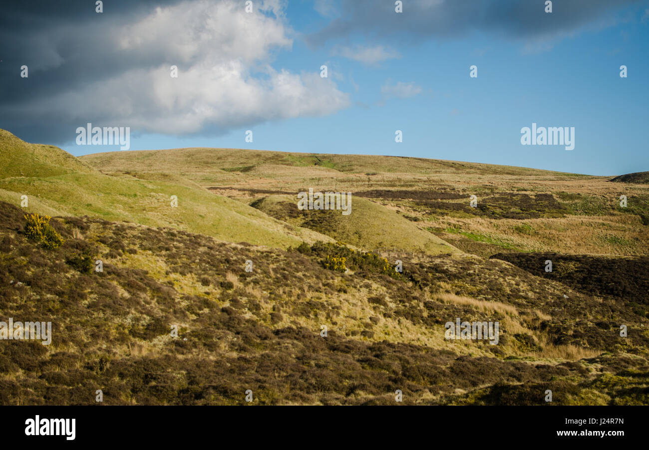The Gower Landscapes Stock Photo - Alamy