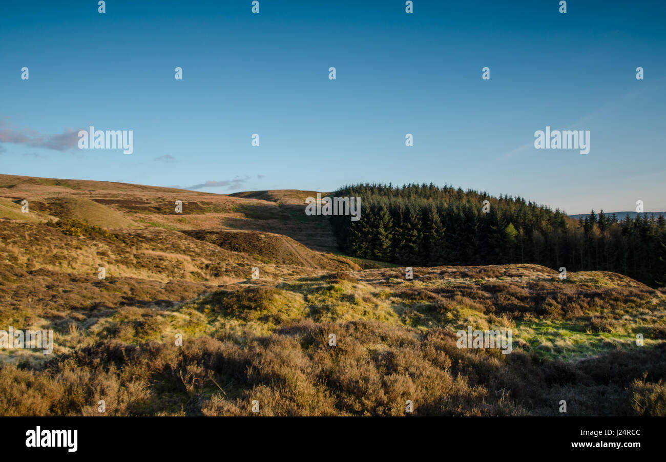 The Gower Landscapes Stock Photo - Alamy