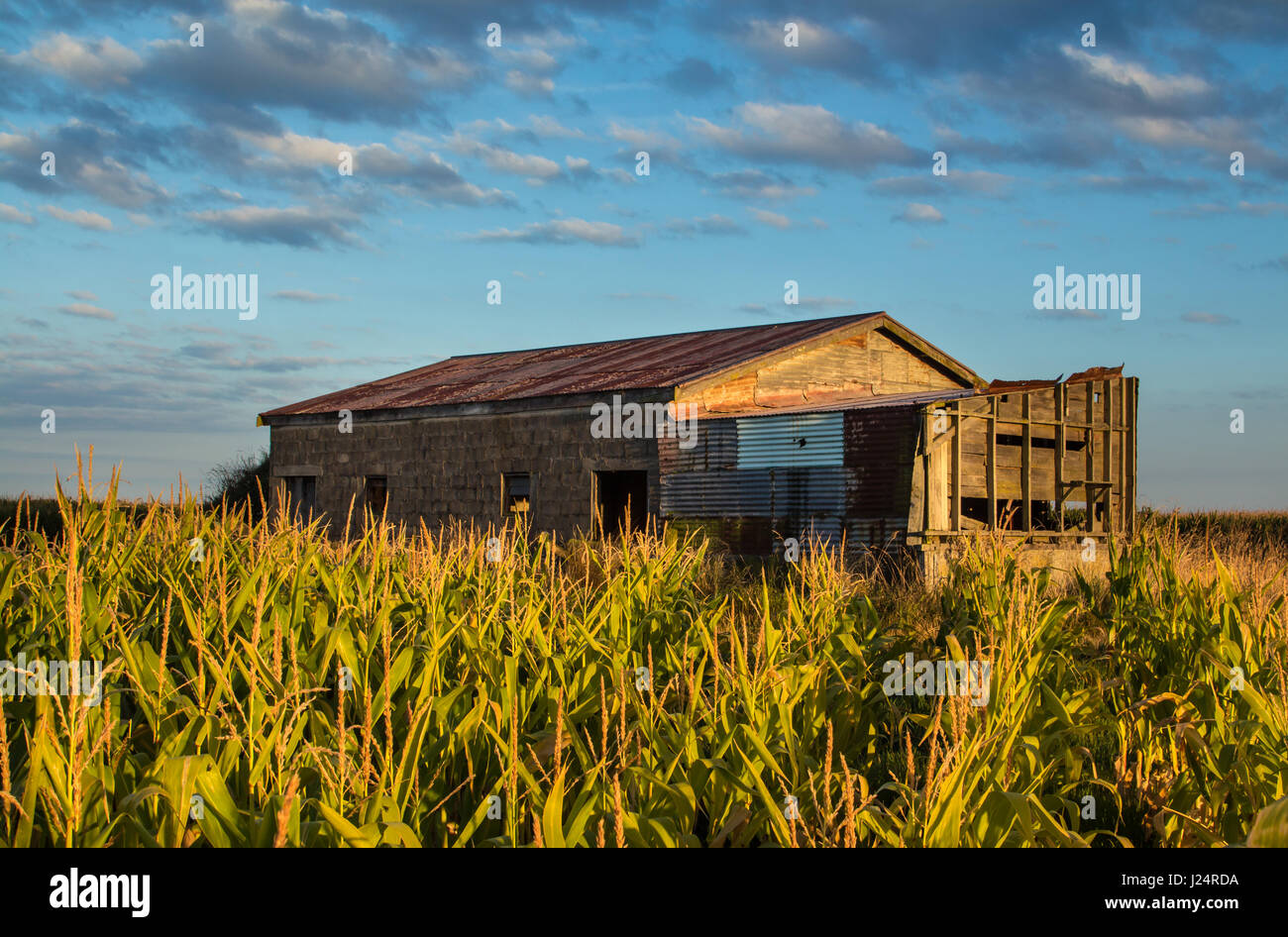 Old farm shed hi-res stock photography and images - Alamy