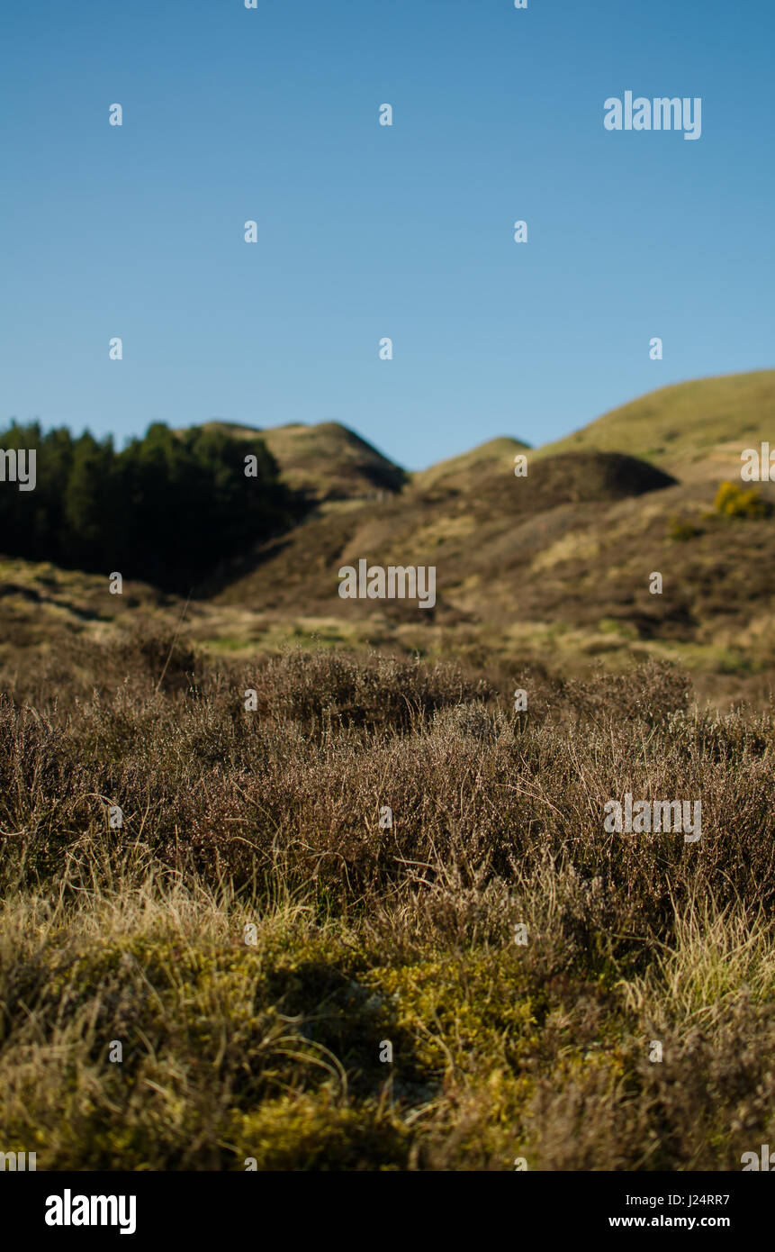 The Gower Landscapes Stock Photo - Alamy