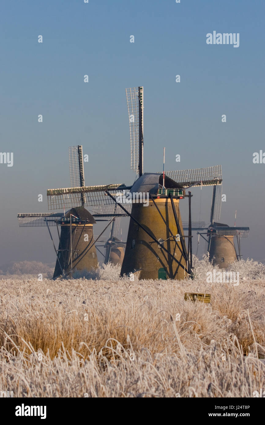 Group historic dutch windmills hi-res stock photography and images - Alamy