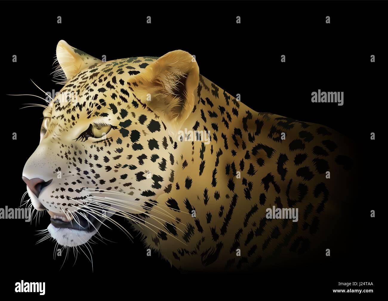 Leopard prey Stock Vector Images - Alamy
