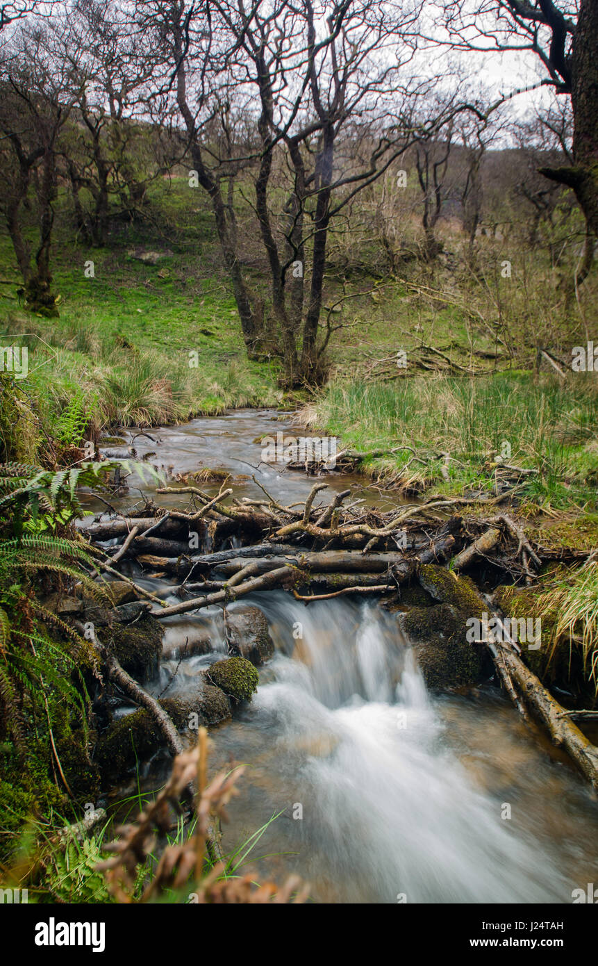 The Gower Landscapes Stock Photo - Alamy